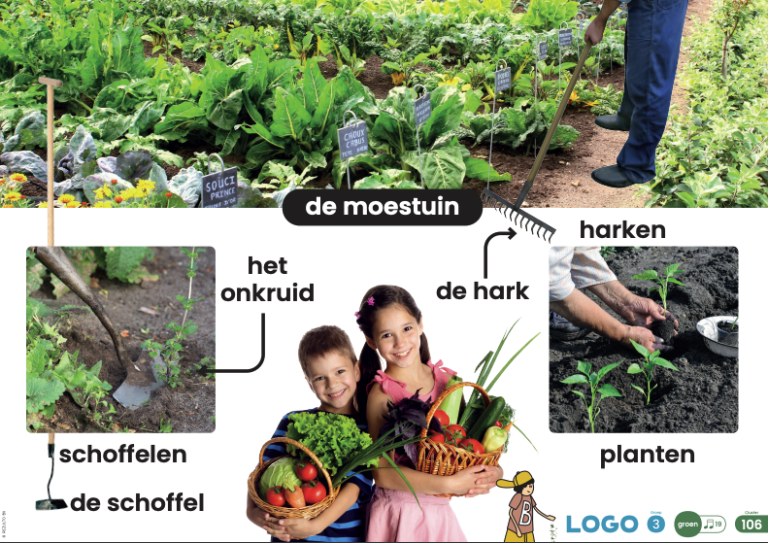 LOGO Leeswoorden - Rezulto | De woordenschatexpert