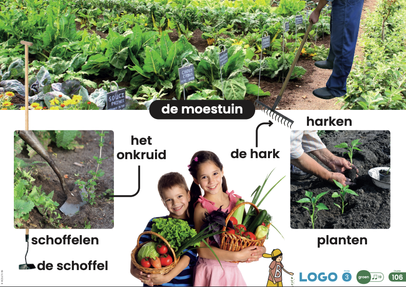 LOGO Leeswoorden - Rezulto | De woordenschatexpert