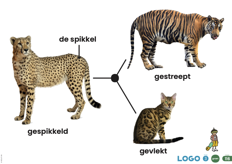 LOGO Leeswoorden - Rezulto | De woordenschatexpert